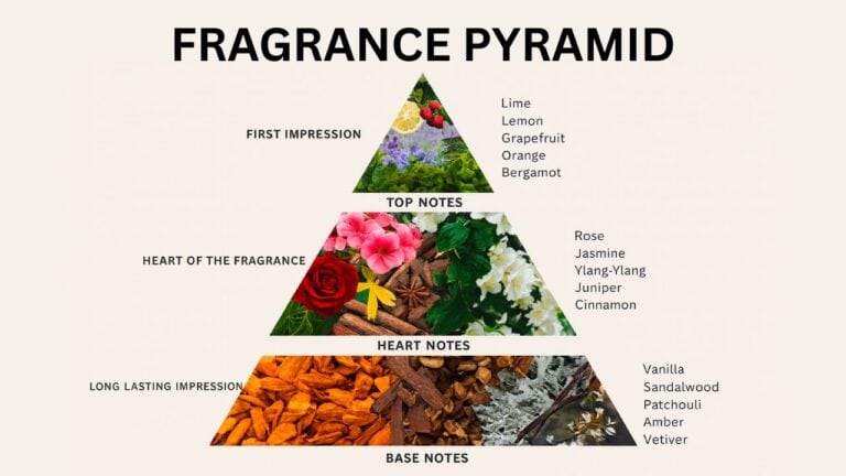 Perfume Notes: Everything You Need to Know | Beautinow