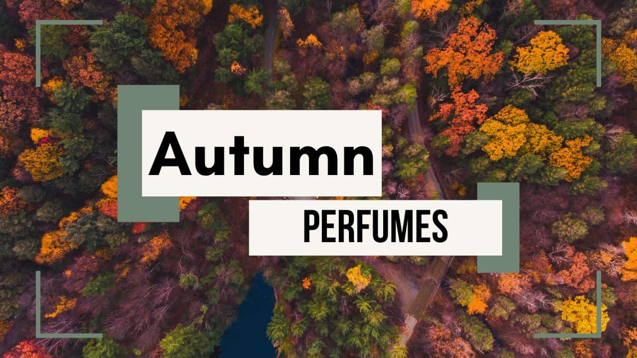 Choosing Seasonal Perfumes - Perfume by Season | Beautinow